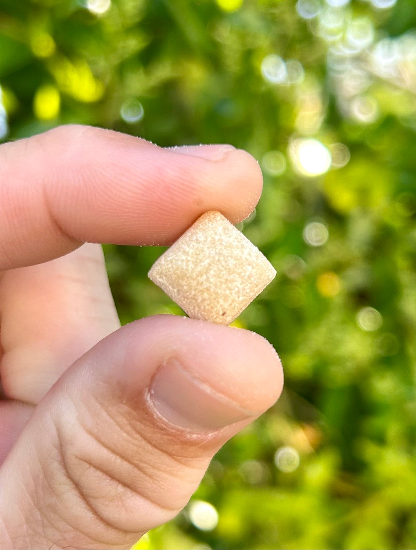 Rare Gum